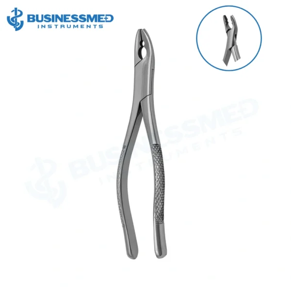 150AS Extraction Forceps - BusinessMed Instruments