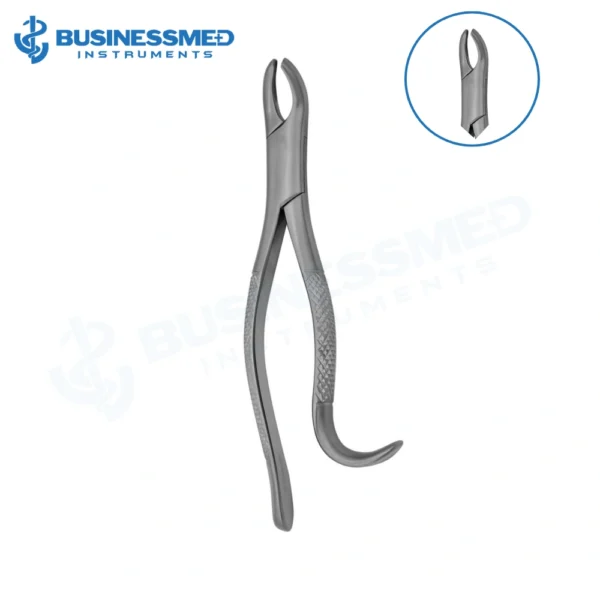 24 Universal Extraction Forceps - BusinessMed Instruments